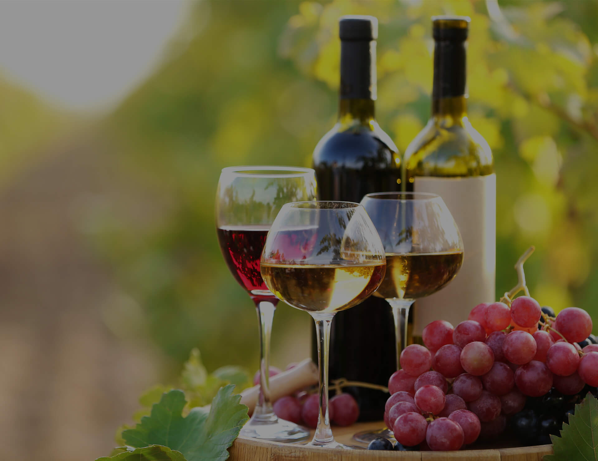 Venus Wine - Adventoris